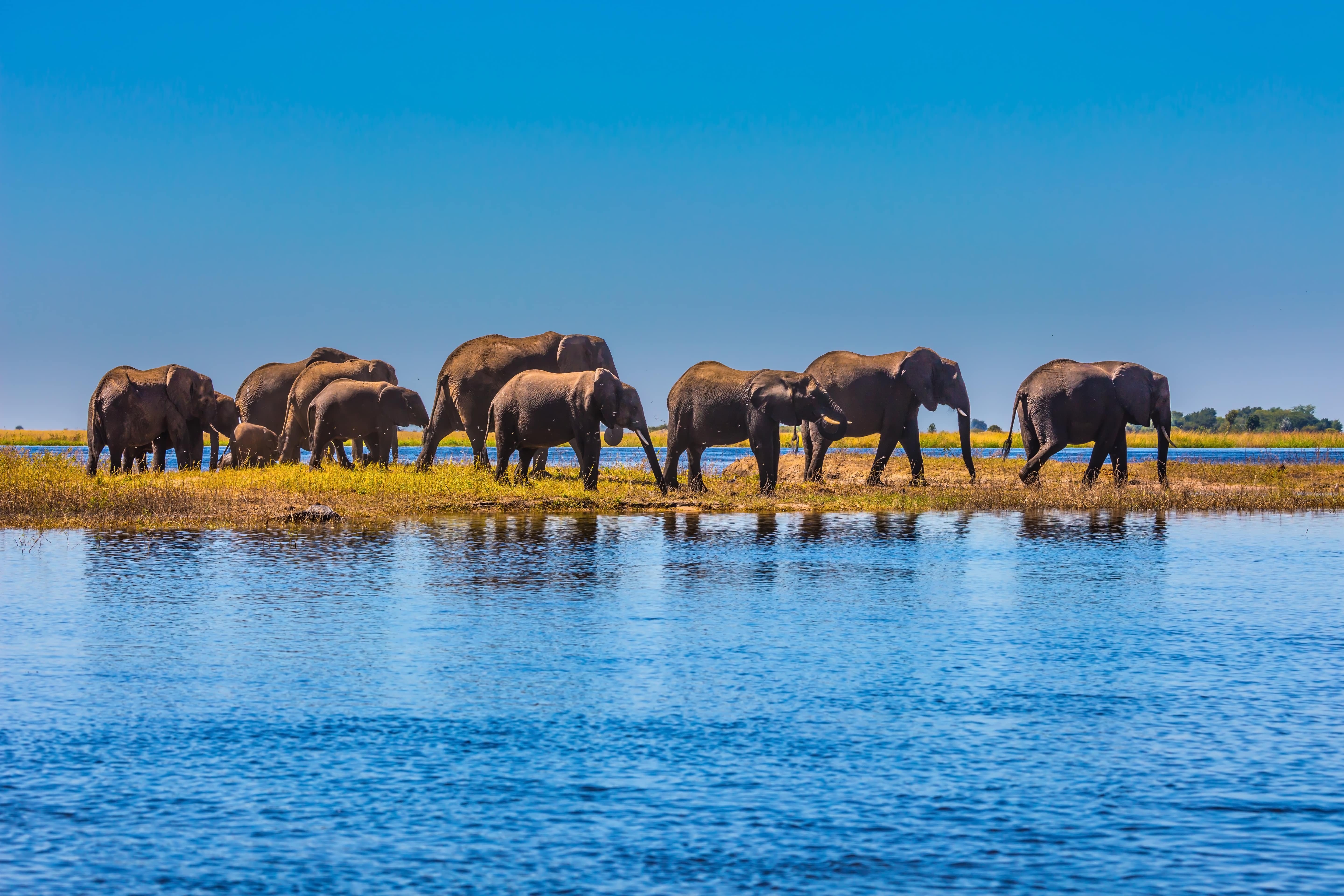 Einzigartige Botswana Reisen - Colibri Travel